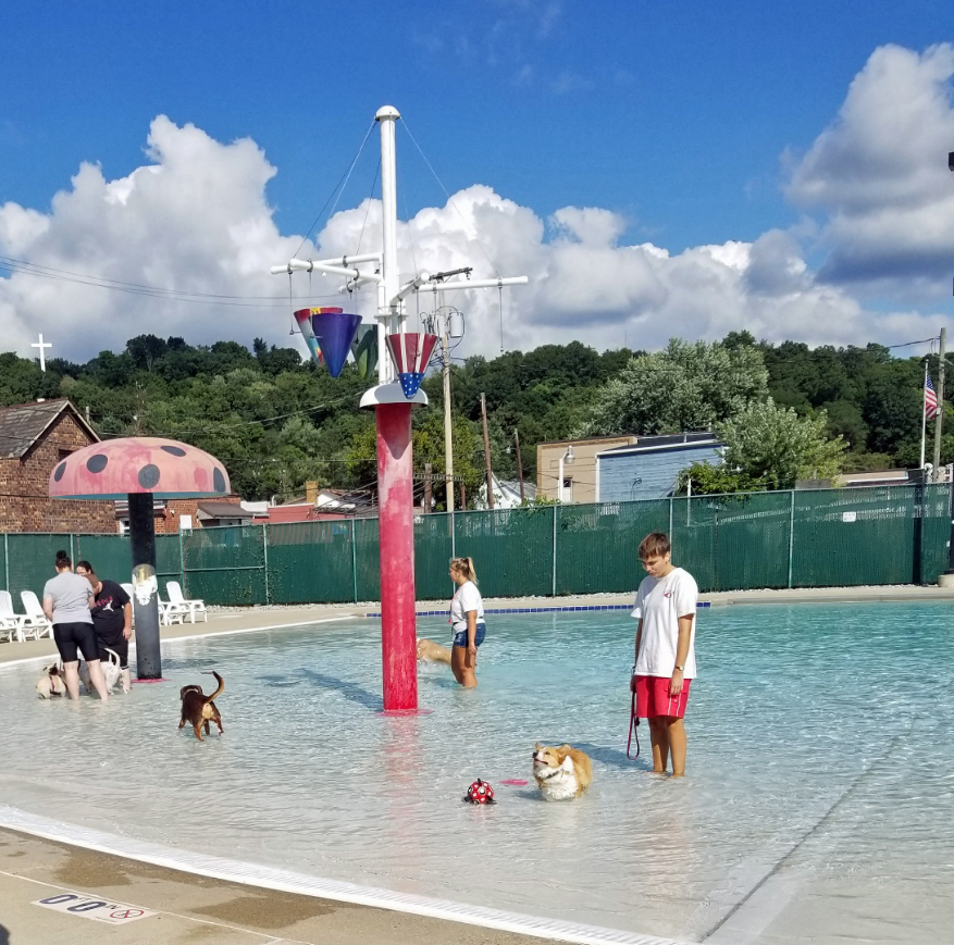 Thank you to everyone and their dogs for coming out to the Nelsonville ...