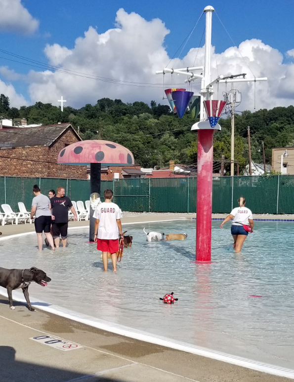 Thank you to everyone and their dogs for coming out to the Nelsonville ...