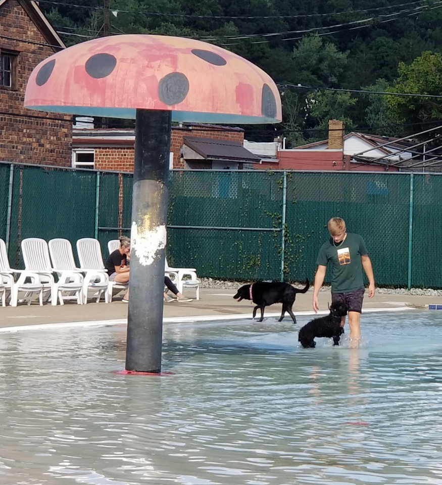 Thank you to everyone and their dogs for coming out to the Nelsonville ...